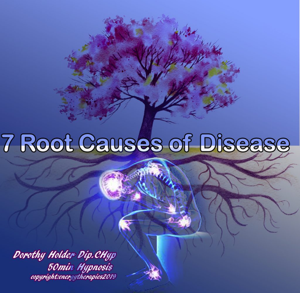 Seven Root Causes of Disease - Dorothy Holder